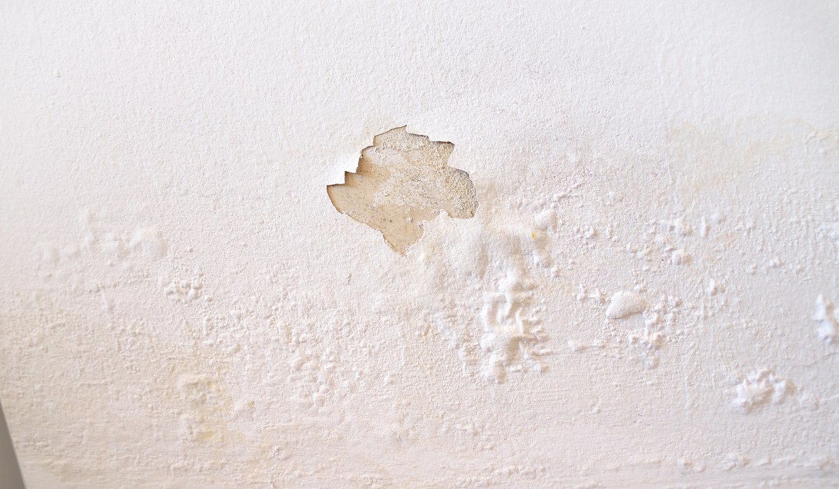 Pharmaceutical Cleanroom Wall Humidity After Leakage